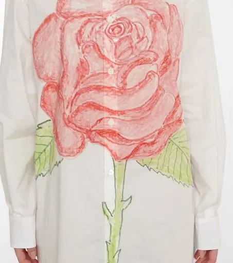 Marni Printed Cotton Poplin Shirt Dress
