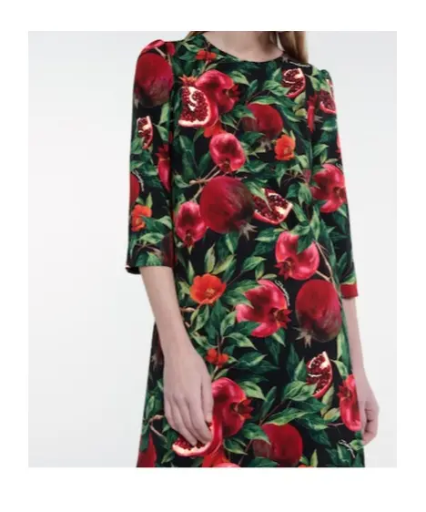 Dolce & Gabbana Pomegranate-printed Minidress
