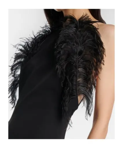 Attico Feather-trimmed Gown
