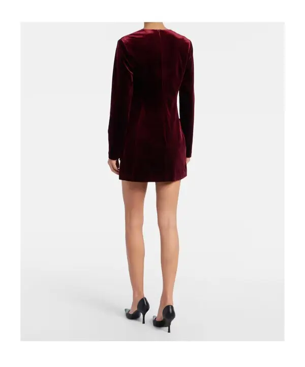 LEO Aliza Floral Appliqué Velvet Mini Dress