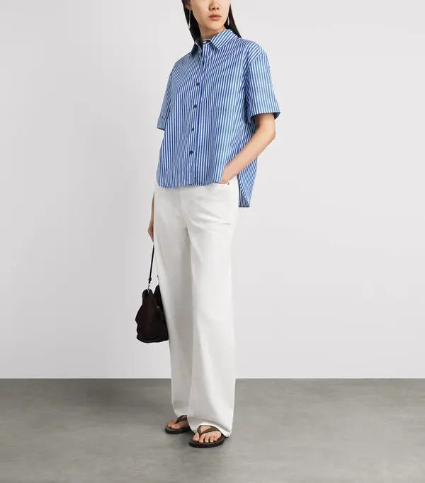 Rag & Bone Cotton Poplin Stripe Connie Shirt