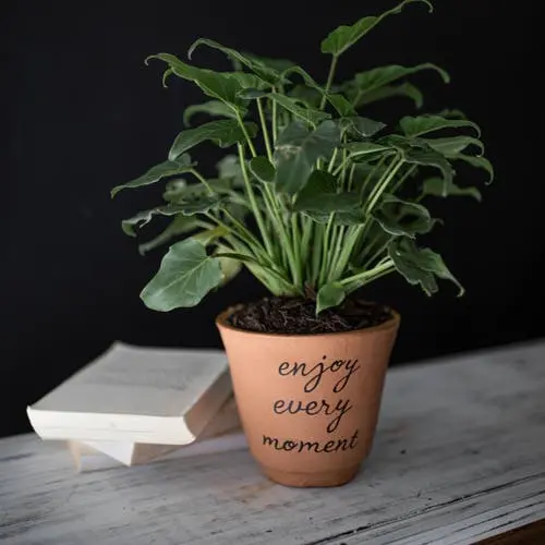 FORESIDE HOME AND GARDEN Enjoy Every Moment" Multi Terracotta Planter