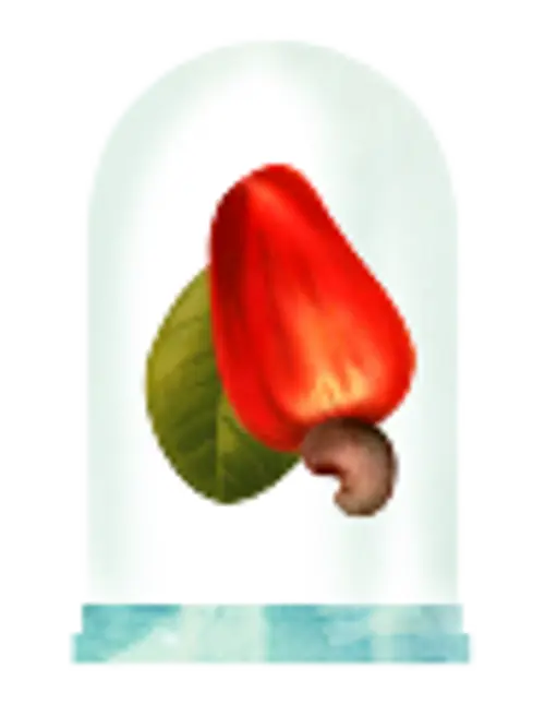 GRANADO Poque Tropical Eau De Parfum