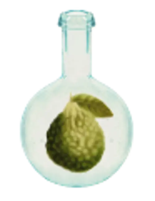 GRANADO Fervo Intenso Eau De Parfum