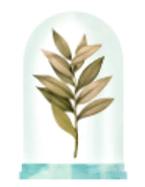 GRANADO Flora Magnífica Eau De Parfum