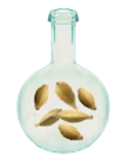 GRANADO Sândalo E Cardamomo Eau De Cologne