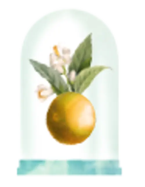 GRANADO Patchouli Eau De Toilette