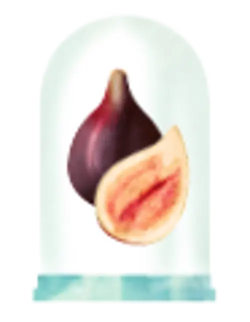 GRANADO Tonka Eau De Toilette