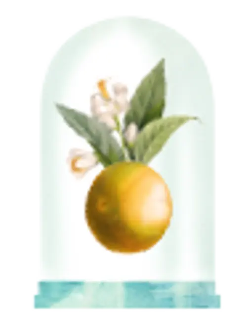 GRANADO Limão Taiti & Néroli Eau De Cologne