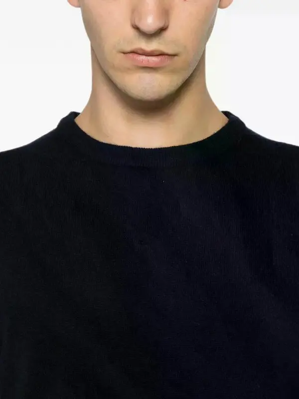 SERGIO MORETTI FIRENZE Crew Neck Long Sleeve Sweater