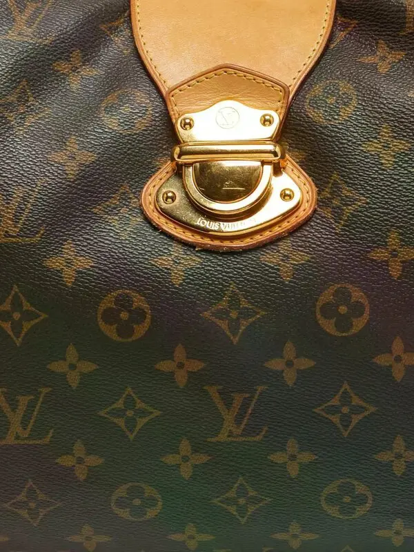 LOUIS VUITTON 2009 Gm Stresa Shoulder Bag