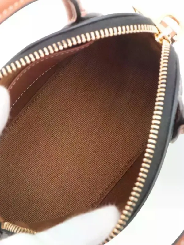 Celine Triomphe Coated Canvas Dome Satchel