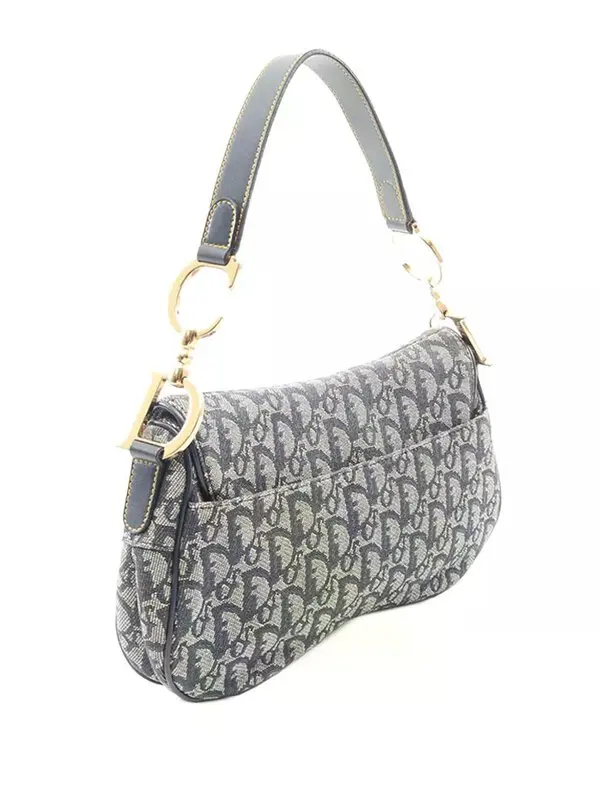 Dior Double Saddle Bag Shoulder Bag