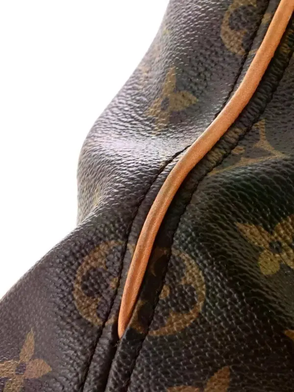 LOUIS VUITTON Monogram Canvas Pm Hobo Bag