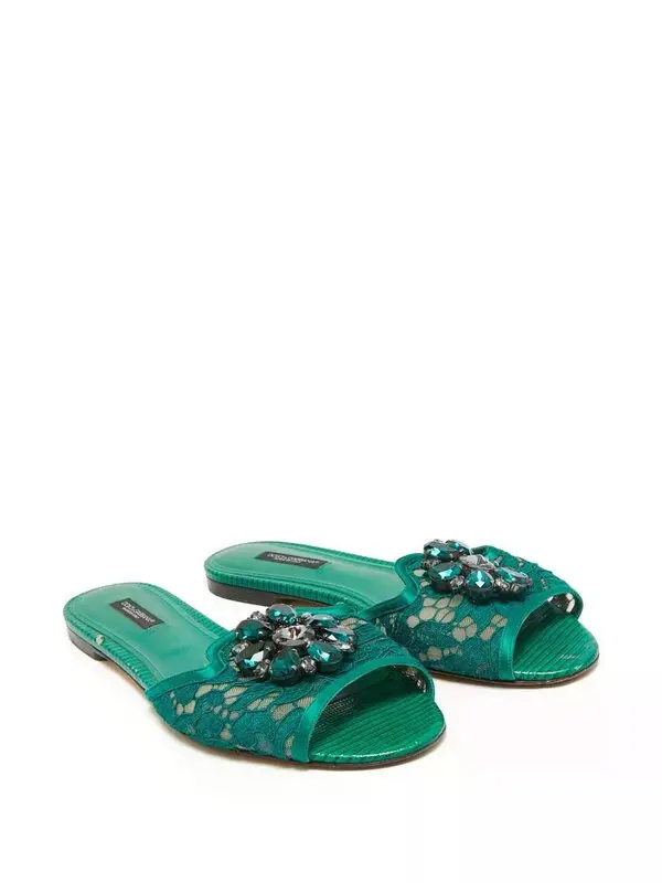 Dolce & Gabbana Bianca Lace Flat Sandals - Green