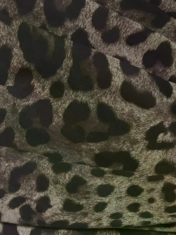 Dolce & Gabbana Leopard-print Ruched V-neck Dress