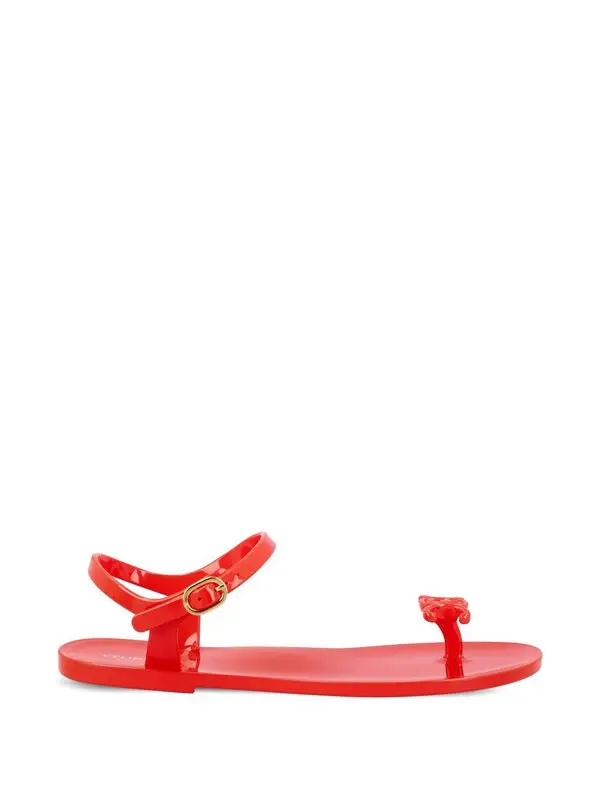 Celine Glossy Jelly Thong Sandals With Triomphe Motif - Multicolor