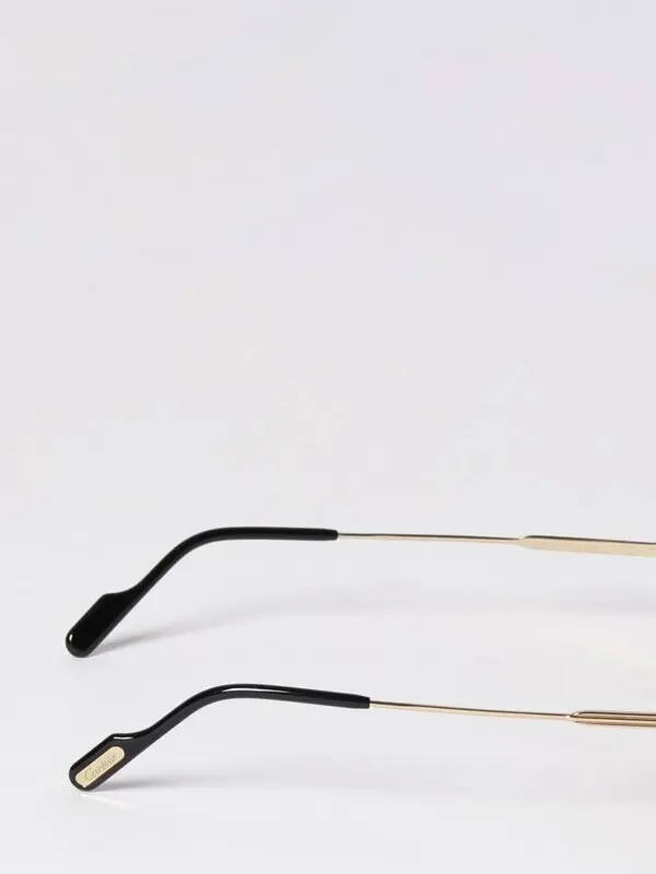 Cartier Sunglasses Earth
