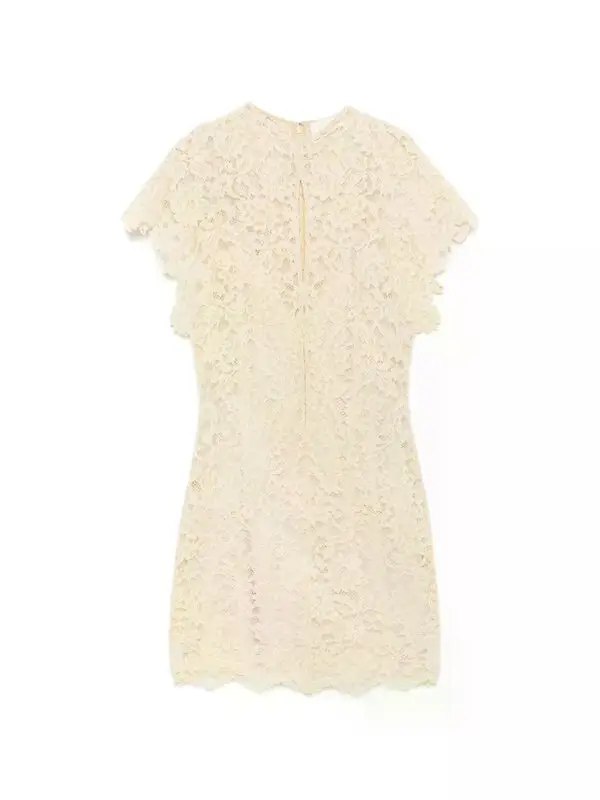 DE LA VALI Laia Lace-overlay Mini Dress