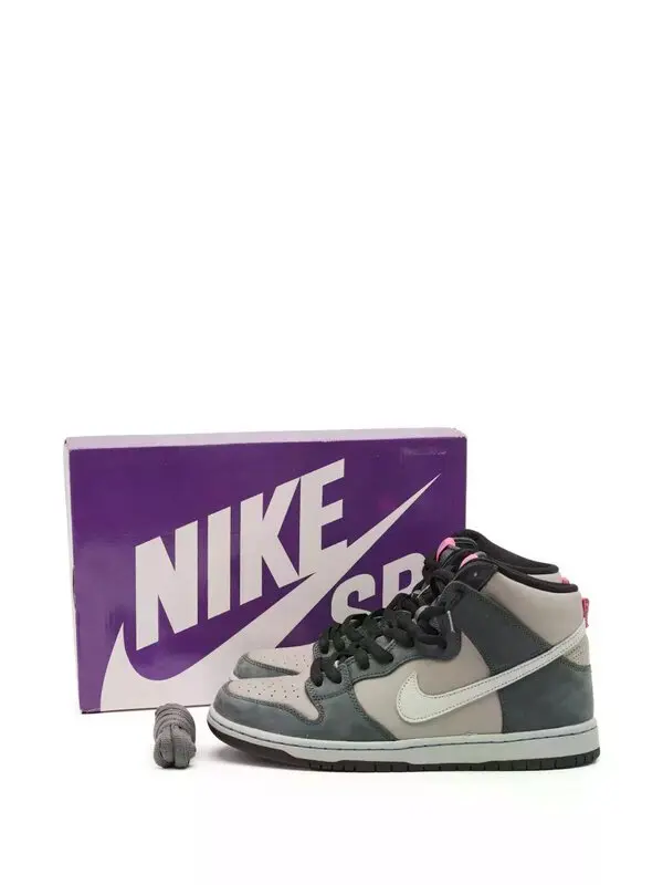 Nike Dunk Pro Sneakers