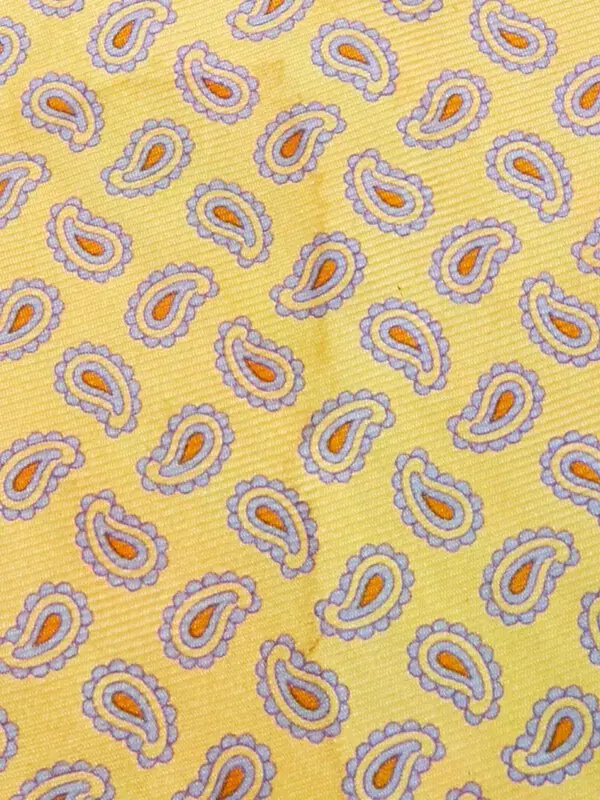 Etro Paisley Print Silk Neck Tie