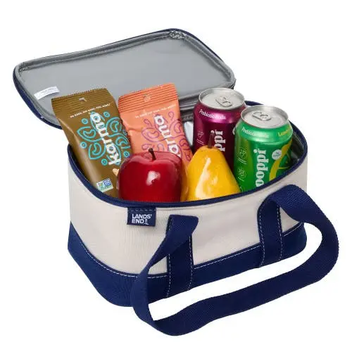 LANDS' END Rectangular Insulated Cooler Bag