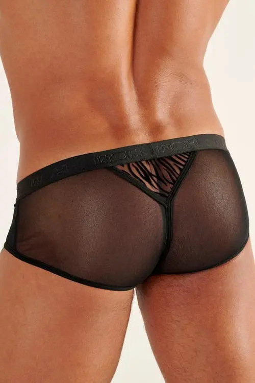 HOM Woh Personal Allure Tiger Print Mini Briefs - Black