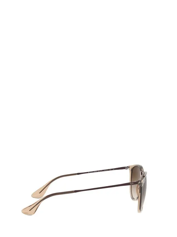 Ray-ban Erika Sunglasses