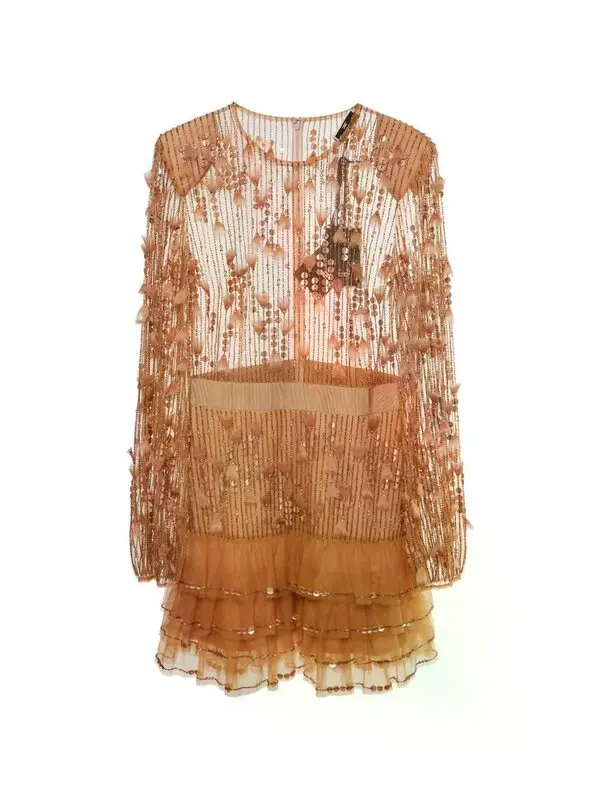 Elisabetta Franchi Embroidered Tulle Dress - Neutrals