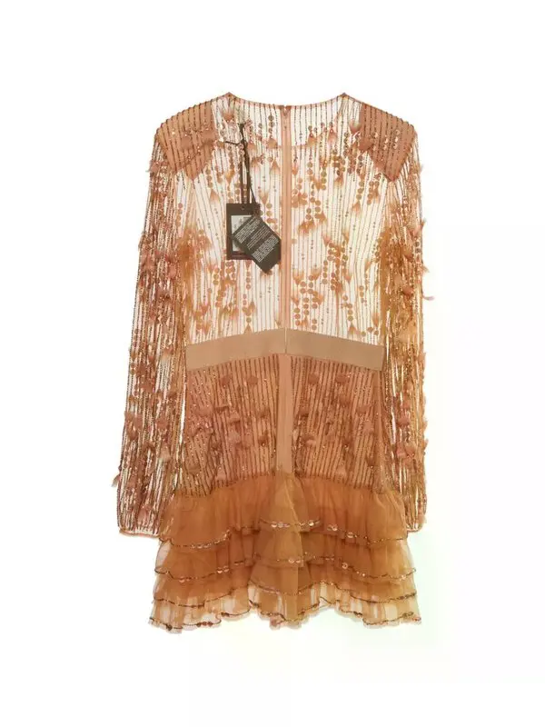 Elisabetta Franchi Embroidered Tulle Dress