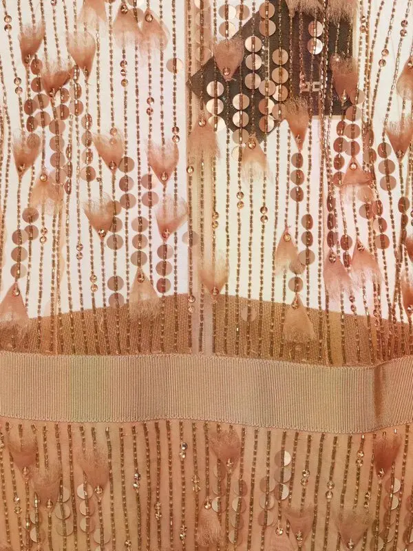 Elisabetta Franchi Embroidered Tulle Dress