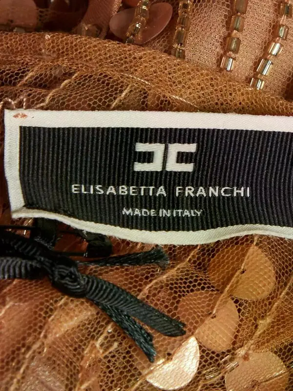 Elisabetta Franchi Embroidered Tulle Dress