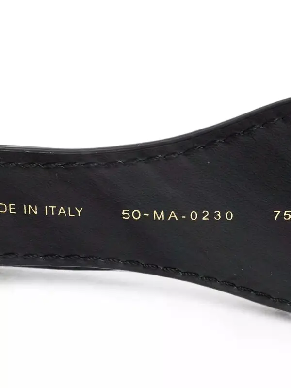 Dior Embroidered Canvas Belt