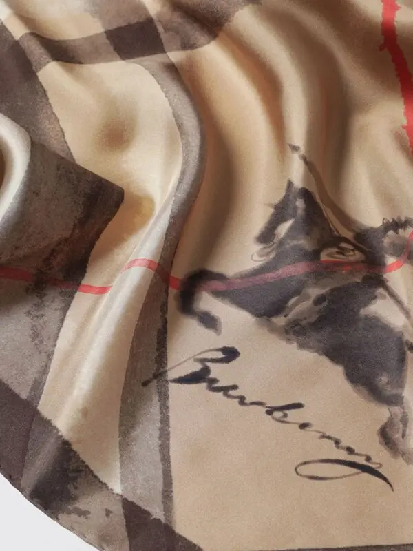 Burberry Scarf