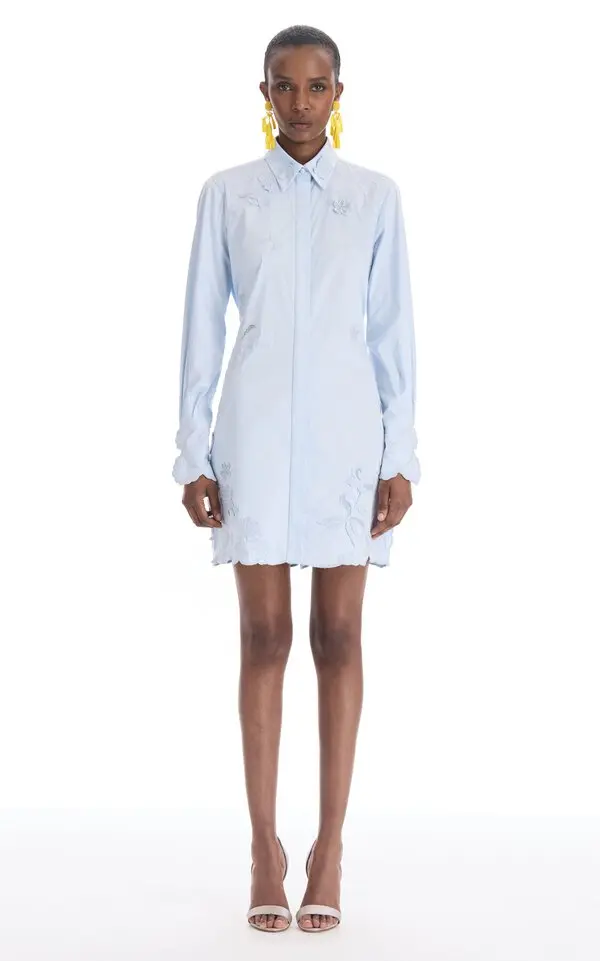 Oscar De La Renta Embroidered Cotton-poplin Sateen Mini Dress