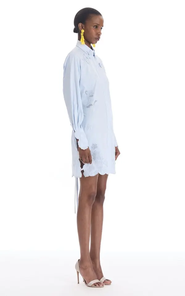 Oscar De La Renta Embroidered Cotton-poplin Sateen Mini Dress