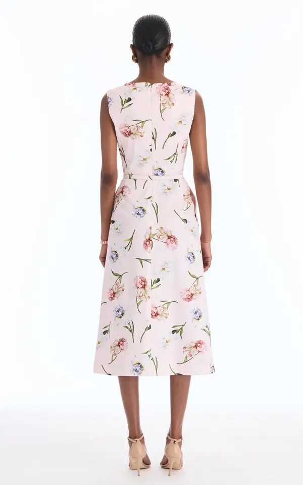 Oscar De La Renta Painted Iris Poplin Midi Dress