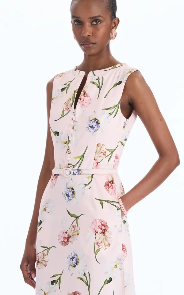Oscar De La Renta Painted Iris Poplin Midi Dress