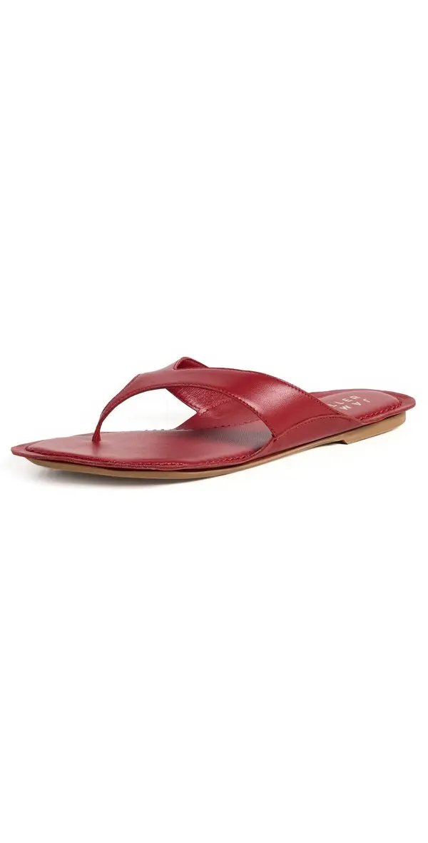 JAMIE HALLER The San Diego Sandals