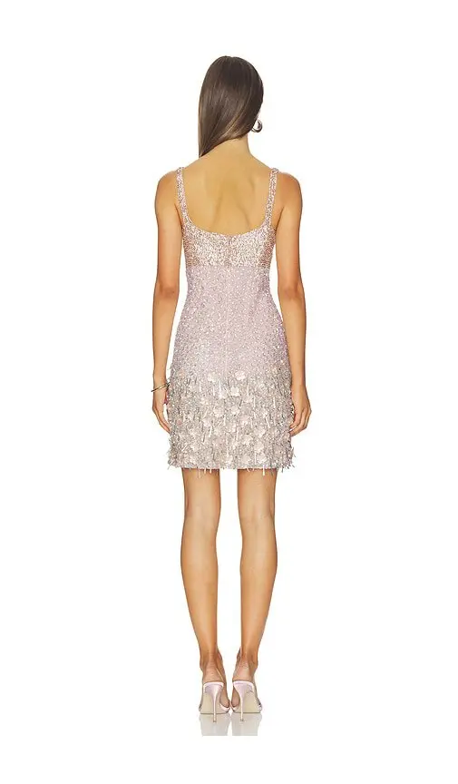 LA FUORI Maris Embroidered Mini Dress