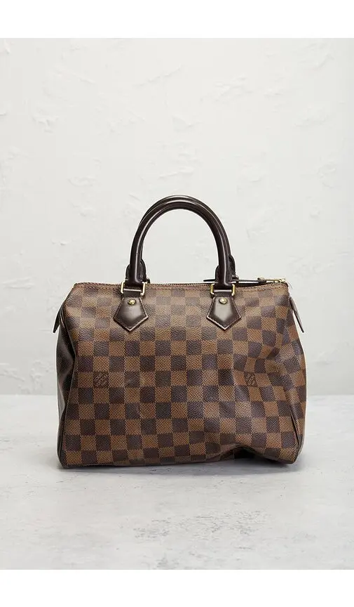 FWRD RENEW Louis Vuitton Damier Ebene Speedy 25 Handbag