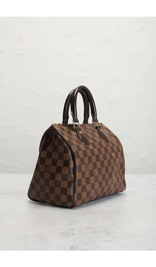 FWRD RENEW Louis Vuitton Damier Ebene Speedy 25 Handbag