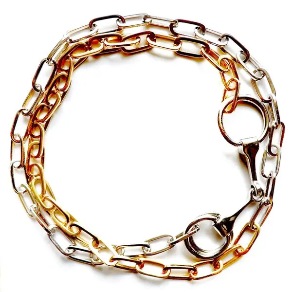 Persia Donà Jewelry Horsebit Chain Necklace - Gold