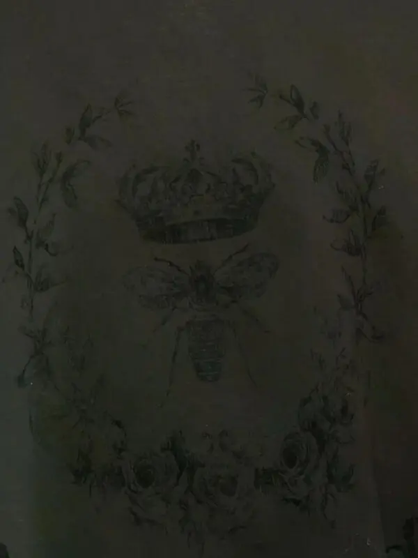 Dolce & Gabbana Velvet-print Cotton T-shirt