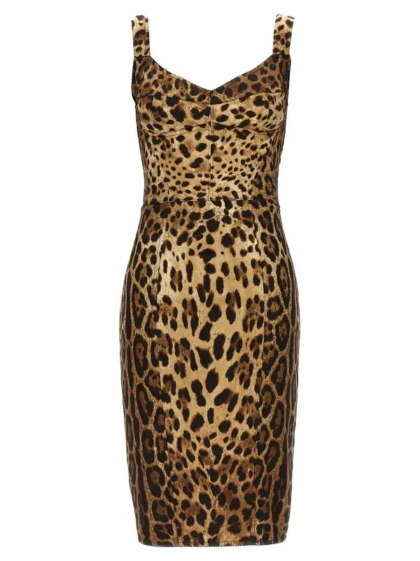 Dolce & Gabbana Leopardo Print Corset Dress - Multicolor