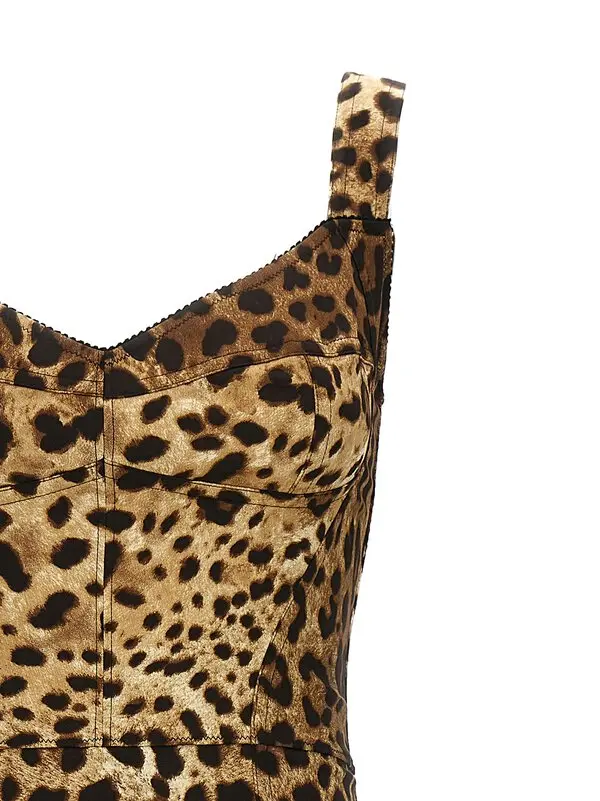 Dolce & Gabbana Leopardo Print Corset Dress
