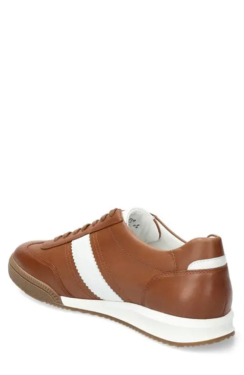 Mephisto Elyo Sneaker - Hazelnut