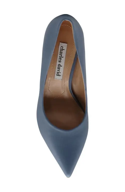 CHARLES DAVID Geno Pointed Toe Pump - Blue