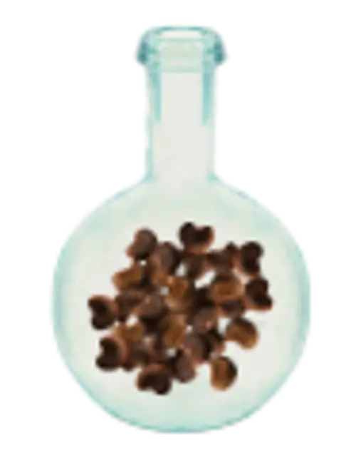 GRANADO Cedro Eau De Toilette