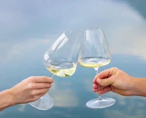 RIEDEL Winewings Sauvignon Blanc Wine Glass